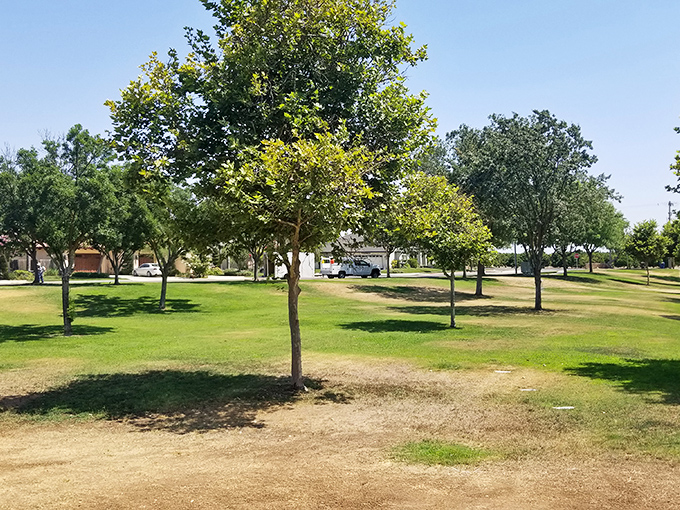 City parks in Exeter offer shady respite from summer heat, where locals gather for picnics and community events throughout the year.