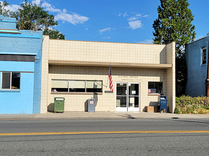 The post office might be the only place in America where checking your mail becomes a social event rather than a dreaded chore.