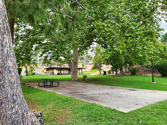 Utica Park offers a peaceful respite from gold country exploration, with shade trees that have witnessed generations of picnics and community gatherings.