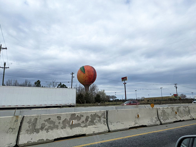 Up close, the Peachoid's textured surface and meticulous coloration reveal an attention to detail worthy of a Georgia O'Keeffe painting.