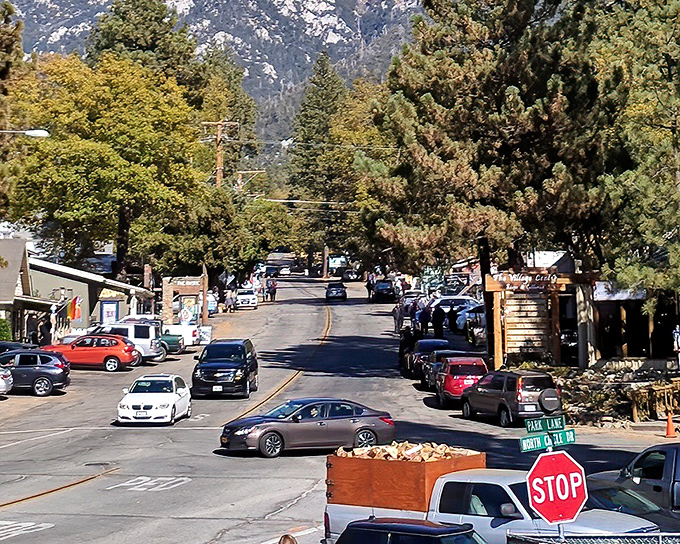 North Circle Drive curves through town like a lazy mountain stream. The San Jacinto Mountains provide nature's perfect backdrop for everyday errands.