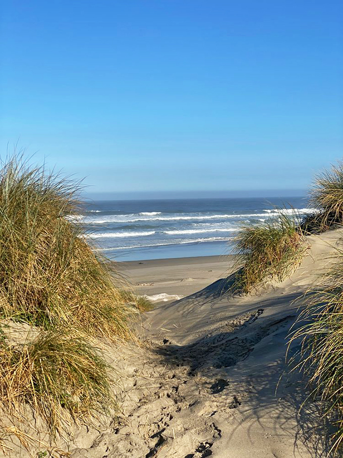 Where beach grass parts to reveal paradise. This sandy pathway promises the kind of ocean view that makes smartphone cameras feel wholly inadequate.
