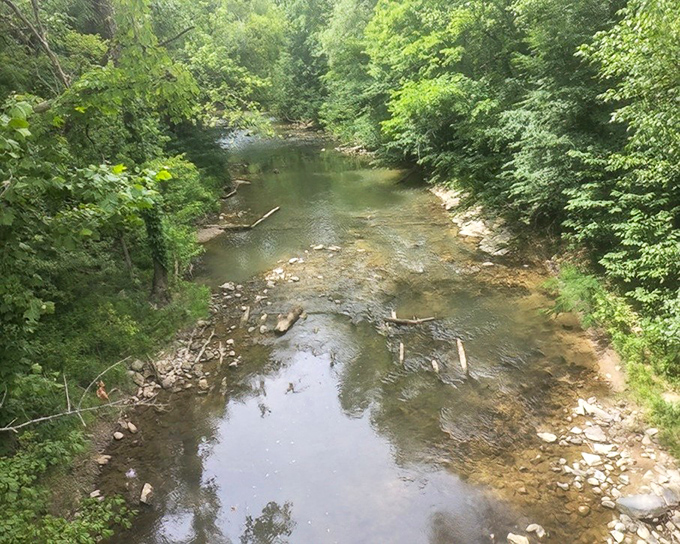 Mother Nature provides the perfect backdrop through this wooden window. The gentle stream below offers a meditative soundtrack that no Spotify playlist could ever match.