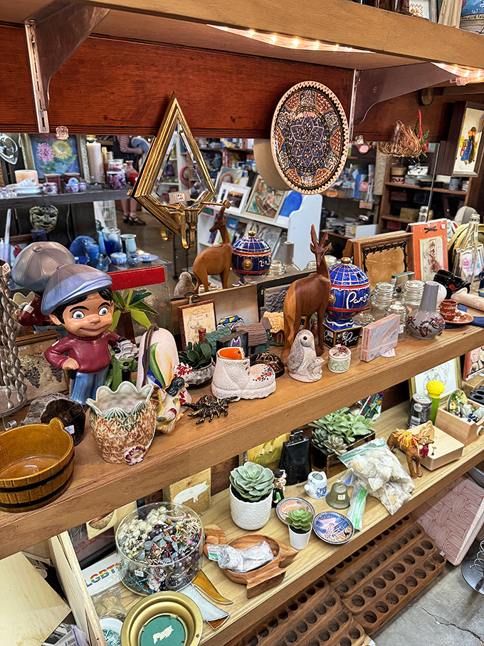 Every shelf tells a story &ndash; ceramic figurines, wooden animals, and potted succulents creating a museum of everyday whimsy.