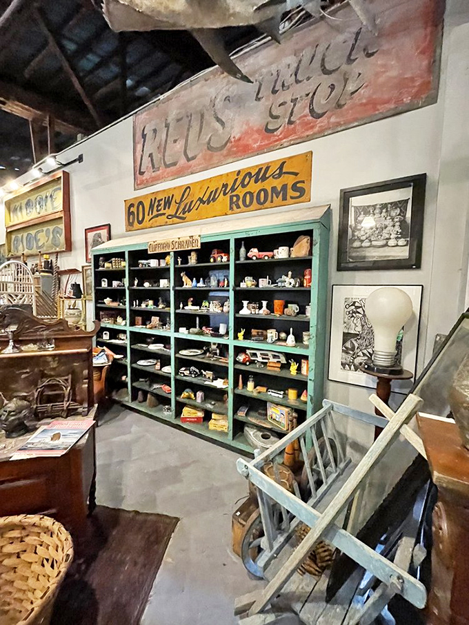 Vintage signs from Florida's past hang above meticulously organized shelves of curiosities&mdash;each cubby a miniature museum.