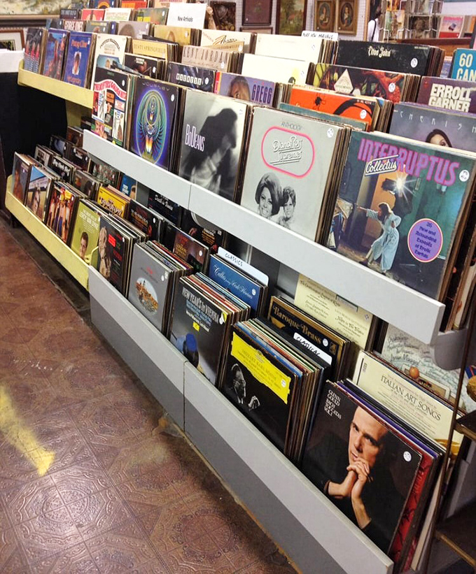 Vinyl heaven awaits music lovers! Each record sleeve tells a story&mdash;sometimes about the music, sometimes about its previous owner's questionable taste.