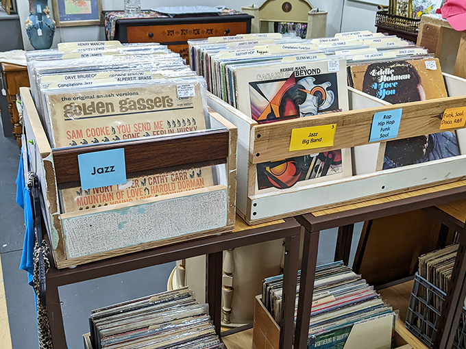 Vinyl heaven for music lovers! Sam Cooke and jazz classics waiting to be rediscovered by ears tired of digital perfection.
