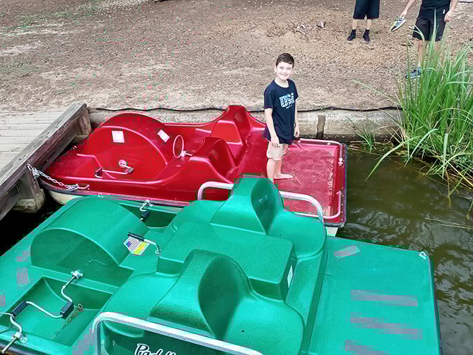 Colorful paddle boats await adventure-seekers. Like choosing ice cream flavors, the hardest part is deciding between the red or green vessel.