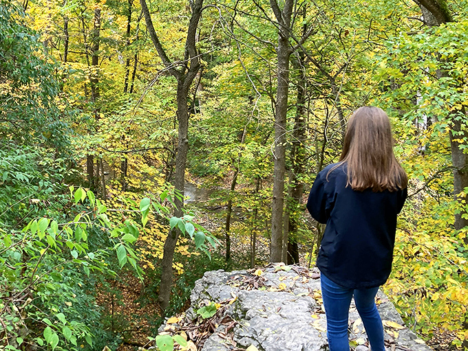 Contemplation point. Sometimes the best vacation happens just twenty minutes from home, where autumn leaves frame nature's perfect viewpoint.