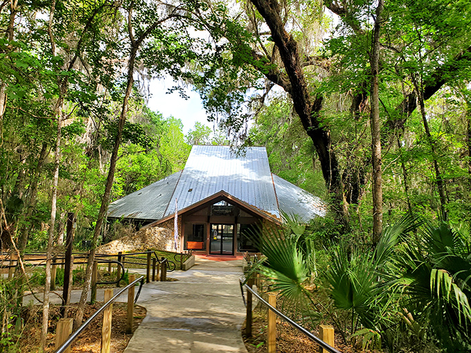 The visitor center welcomes you like an old friend, ready to share secrets about this remarkable wilderness.