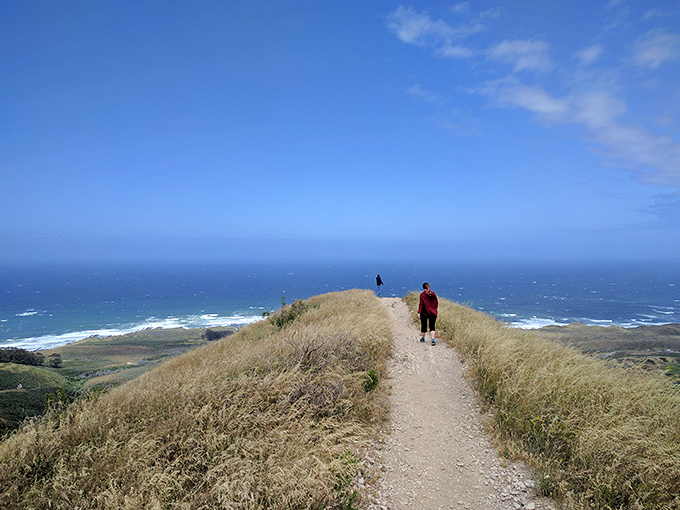 Two hikers discovering that the best views require a little uphill conversation with gravity.