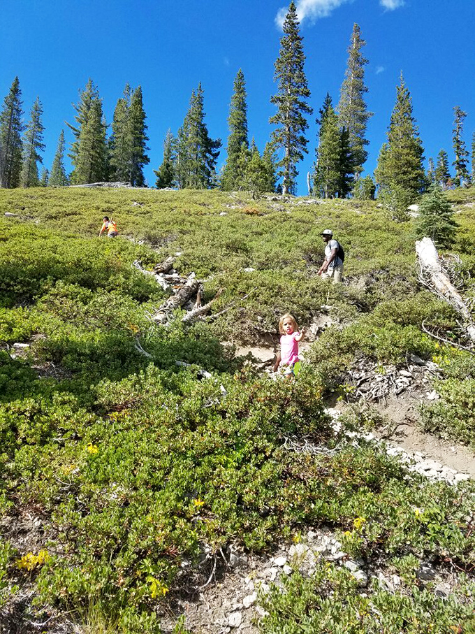 The trail rewards hikers with front-row seats to nature's aquatic theater. No ticket required, just comfortable shoes and a sense of wonder.