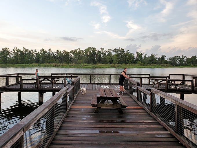 The fishing pier at Three Rivers isn't just a platform &ndash; it's front-row seating to nature's greatest show, complete with furry spectators.