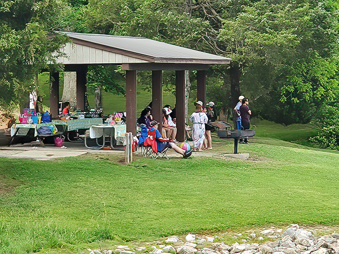 Family gatherings under rustic pavilions &ndash; where memories are made and at least one relative inevitably burns the hot dogs.