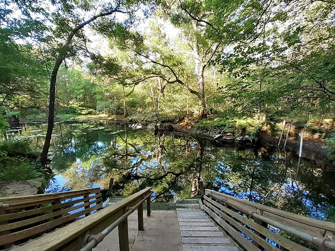 Nature's meditation spot awaits at one of Live Oak's pristine springs. The wooden benches invite contemplation while the crystal-clear waters reflect both sky and soul.