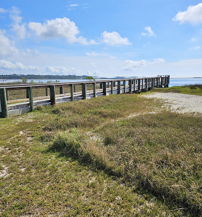Boardwalks that lead to nowhere and everywhere at once&mdash;silent highways over marshgrass where birdsong replaces car horns and time slows to nature's pace.