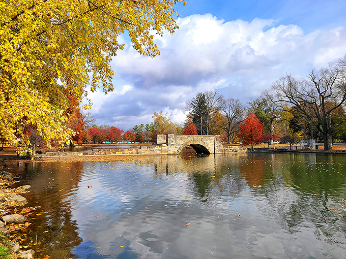 Yoctangee Park offers peaceful green spaces where morning walks become daily meditation sessions with nature.
