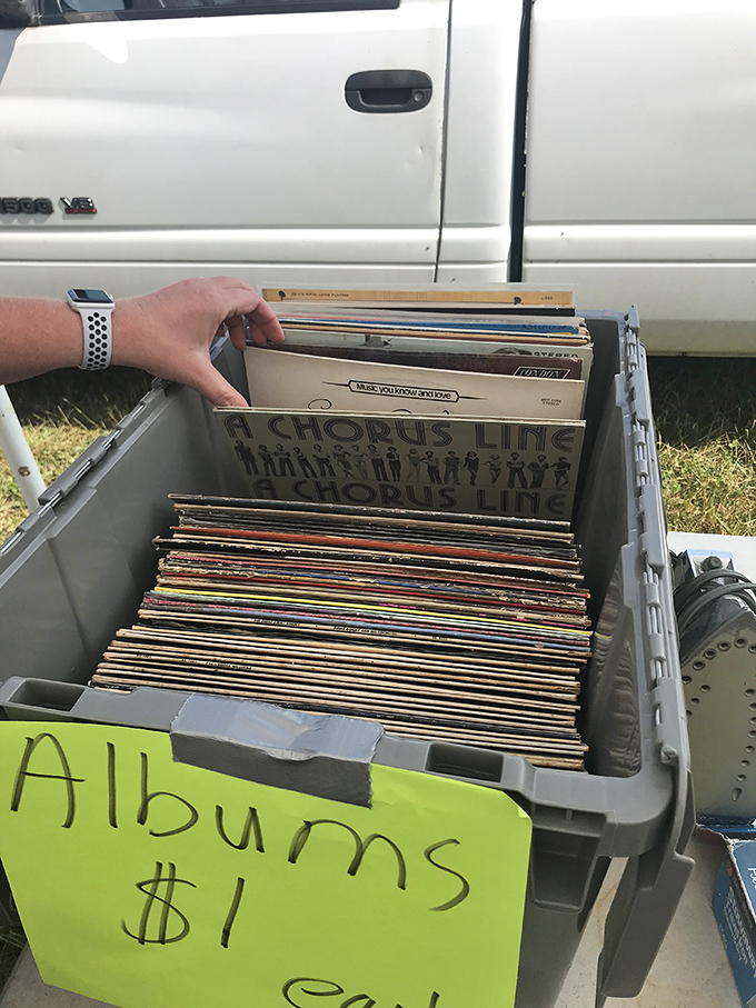 Vinyl treasure hunting at its finest! Someone's about to rediscover the crackling warmth of analog music that no digital playlist can replicate.