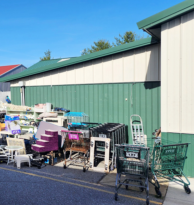 The outdoor overflow area: where shopping carts retire and patio furniture dreams of finding a new deck to call home.