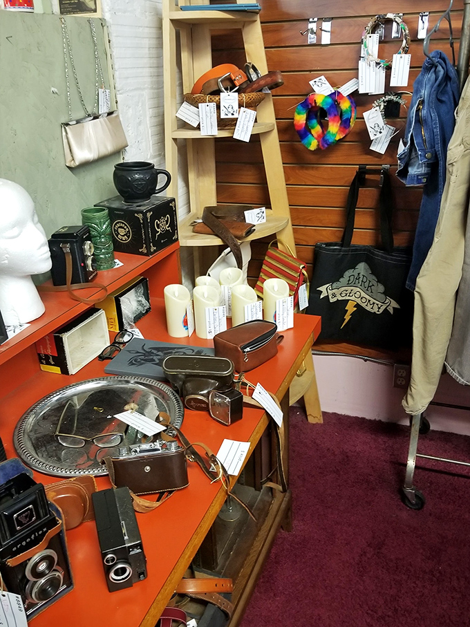 A collector's paradise where vintage cameras, mannequin heads, and quirky accessories tell stories of decades past. Every shelf holds possibilities!