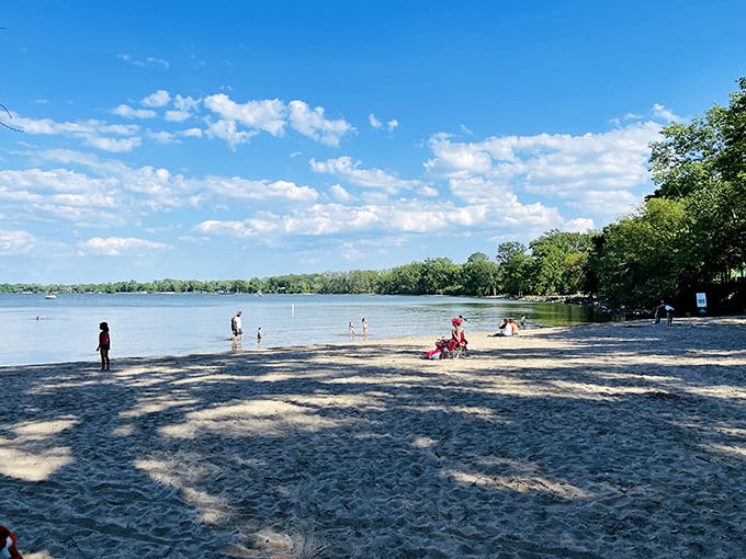 Sandy shores and crystal waters invite even the most dedicated landlubbers to dip their toes in Lake Erie's refreshing embrace on a perfect summer day.