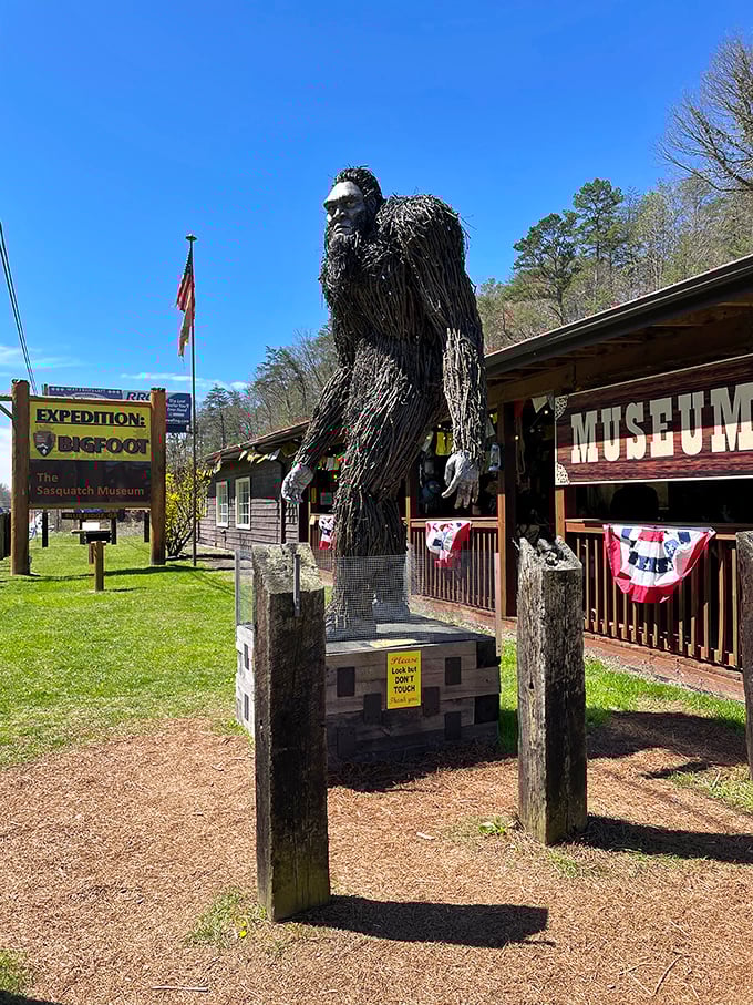 Standing guard outside, this impressive Bigfoot sculpture watches over visitors with the stoic dignity of a woodland sentinel who's really let his hair go.