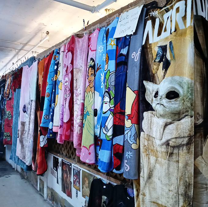 Pop culture paradise! From Baby Yoda to Disney princesses, these blankets and shirts are like a wearable Netflix queue for the devoted fan.