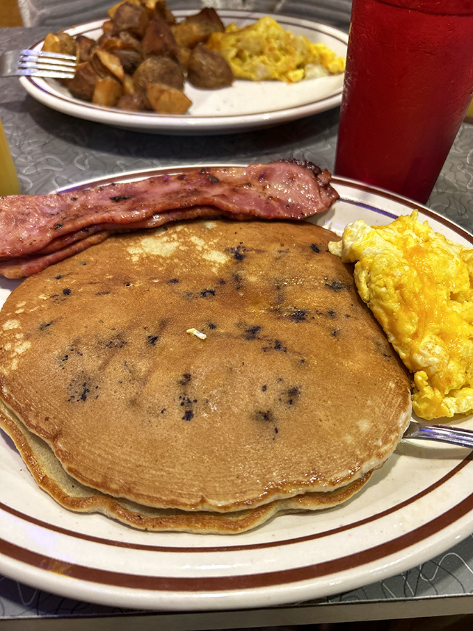 Blueberry pancakes arrive looking like edible clouds dotted with nature's candy and crispy bacon companions.