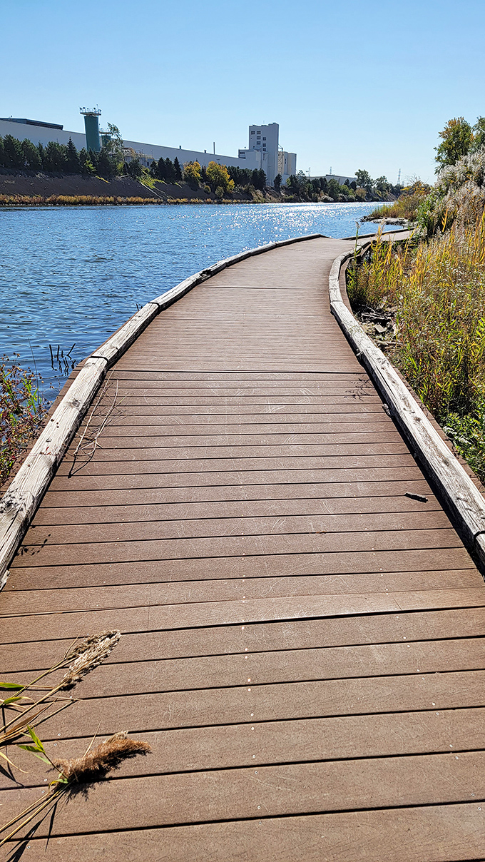 The riverwalk's wooden boardwalk curves gently alongside industrial history, a perfect metaphor for how nature and development can coexist peacefully.