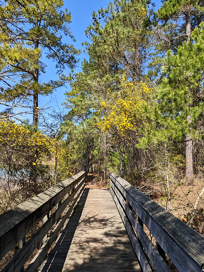 The boardwalk extends your walking abilities directly over the water, bringing fish-eye views to land lovers.