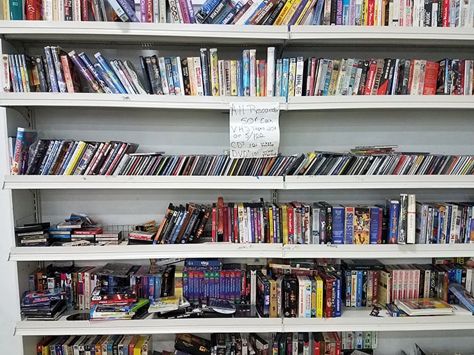 Literary treasures await the patient browser. From Kennedy Space to children's classics, these shelves hold forgotten bestsellers and undiscovered gems alike.