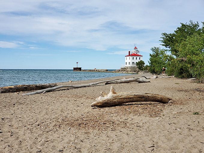 The historic lighthouse stands sentinel over the shoreline, a maritime guardian that's witnessed countless Lake Erie sunrises while keeping watch over generations of visitors.
