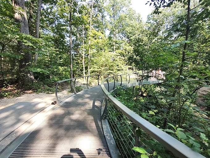 The modern boardwalk offers civilization's compromise with wilderness &ndash; all the views without having to explain to your chiropractor why you thought scrambling over boulders was a good idea.
