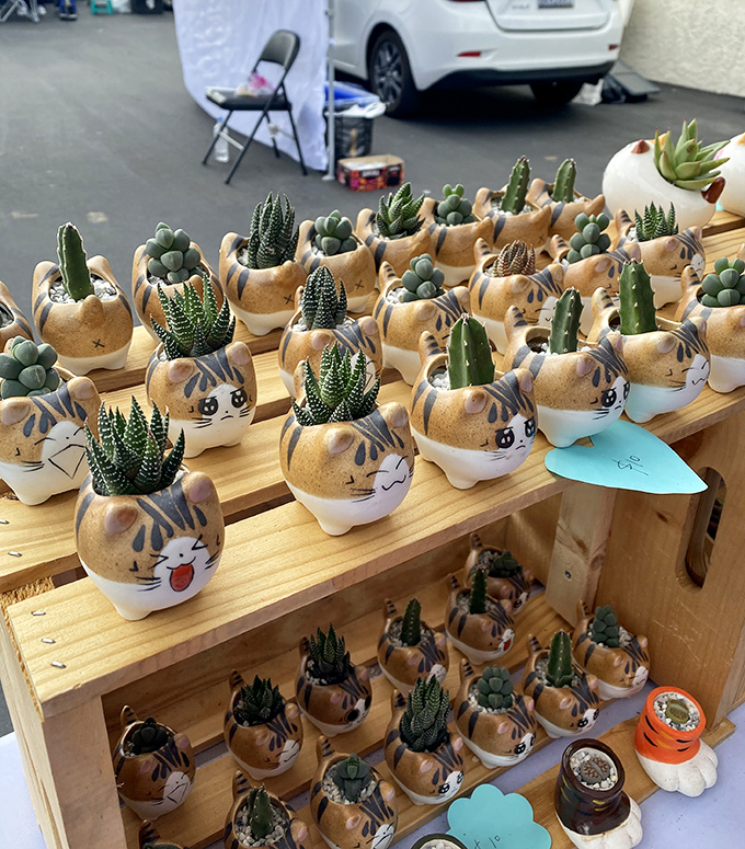 These adorable cat-shaped succulent planters prove that even plant parenthood can have a sense of humor. The perfect low-maintenance roommate for your windowsill.