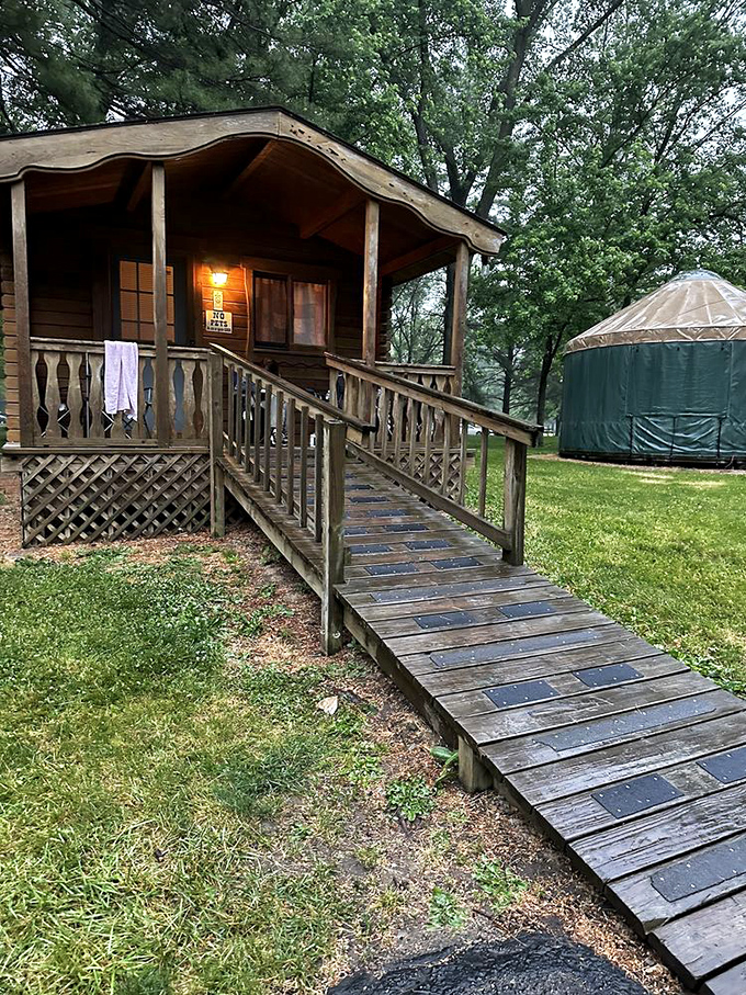 Rustic luxury alert! These cabin accommodations and yurt options prove you can commune with nature without sleeping on roots.