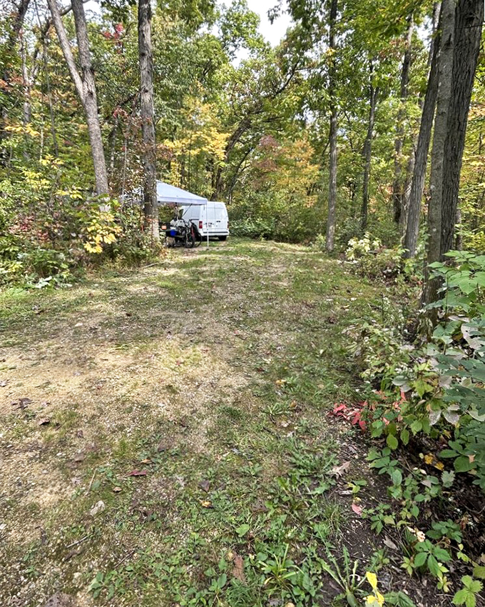 Camping nirvana: where your temporary address is "somewhere beneath the stars." This secluded spot promises whispers of wind through leaves as your lullaby.