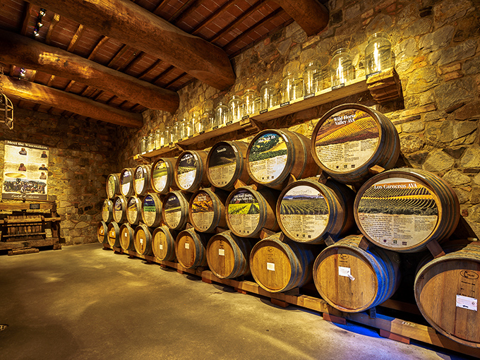 Wine barrels aging like fine Hollywood actors&mdash;getting better with time and developing complex character. The cool stone cellar provides perfect conditions for both wine and dramatic photos.