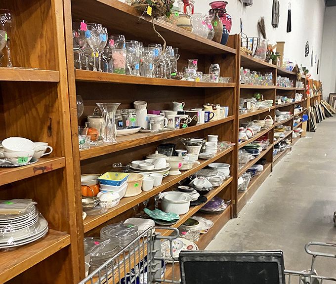 Shelves of dishes and glassware stand ready for adoption &ndash; each mug and bowl hoping for a second chance at mealtime stardom.