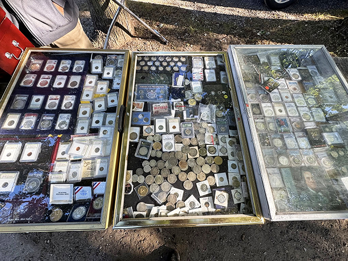 Numismatist nirvana! Gleaming coins and currency from across decades and borders, each with stories locked in their metal memories.