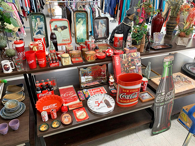 Collectibles and curiosities create a museum of memories where every shelf tells a different story.