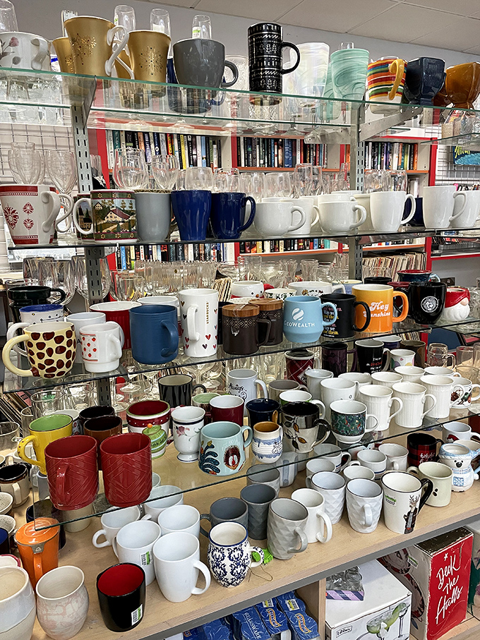 A veritable museum of mugs! Every cup tells a story &ndash; from corporate swag to vacation souvenirs that traveled far before landing here.