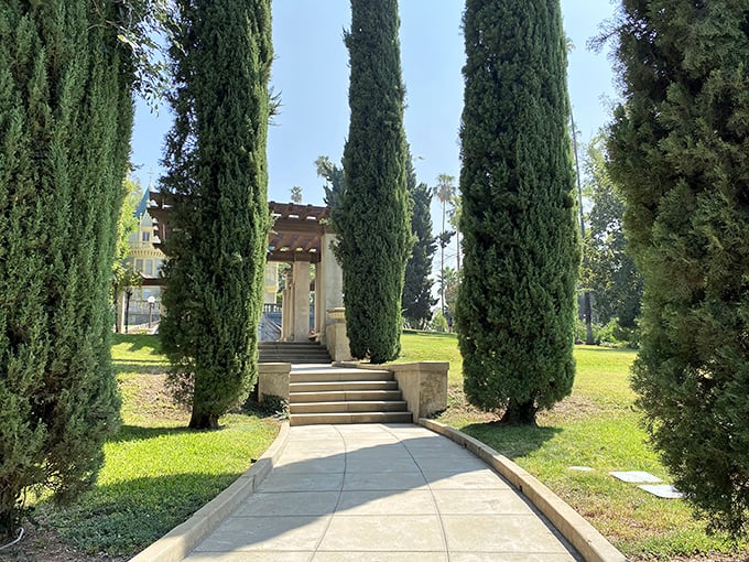 Nature's exclamation points! These towering cypress trees create a dramatic Mediterranean-inspired corridor that practically demands a dramatic entrance.