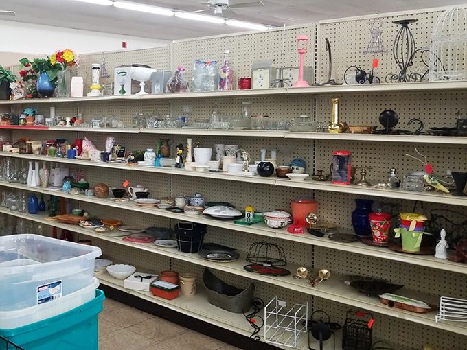 Shelves of household treasures that whisper tales of dinner parties past. One person's retired vase is another's conversation piece.