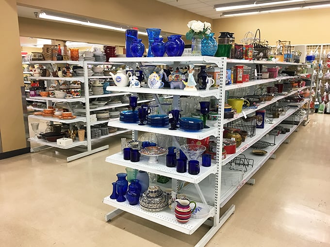 The glassware section sparkles under fluorescent lights, a kaleidoscope of blue vessels and ceramic treasures from kitchens past.