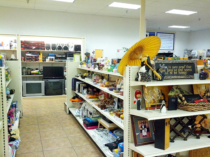 Shelves stacked with the stories of a thousand homes – from vintage kitchenware to quirky decor that would make Wes Anderson jealous.