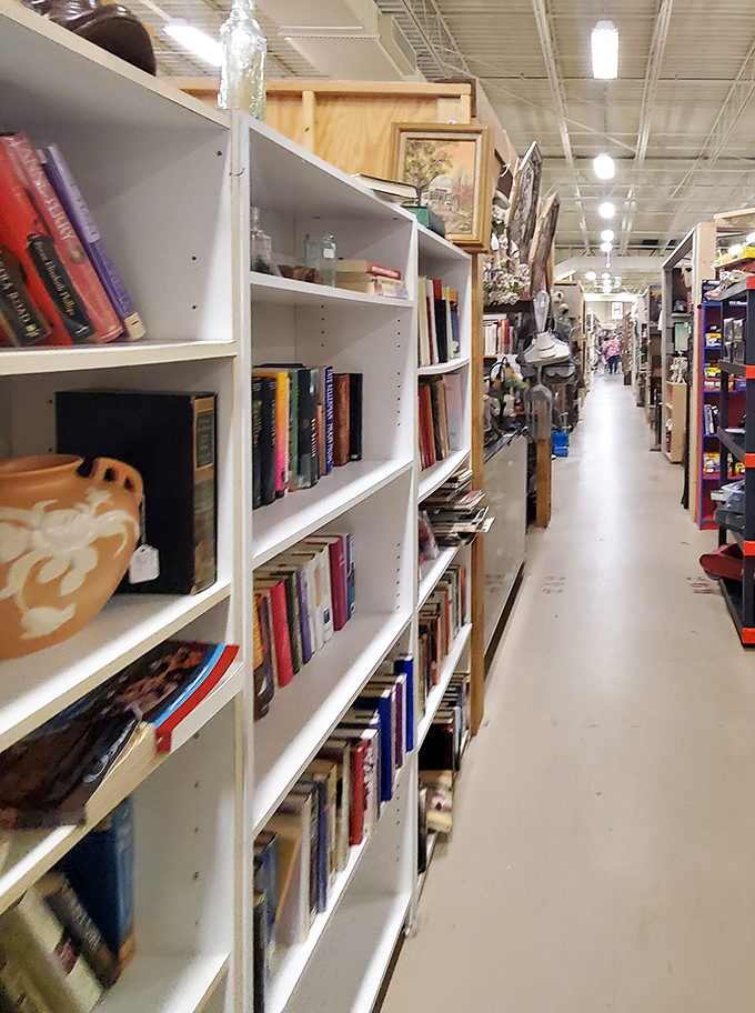 Literary heaven for bibliophiles! These shelves don't just hold books&mdash;they contain worlds, histories, and that distinctive old-paper smell that kindles joy.