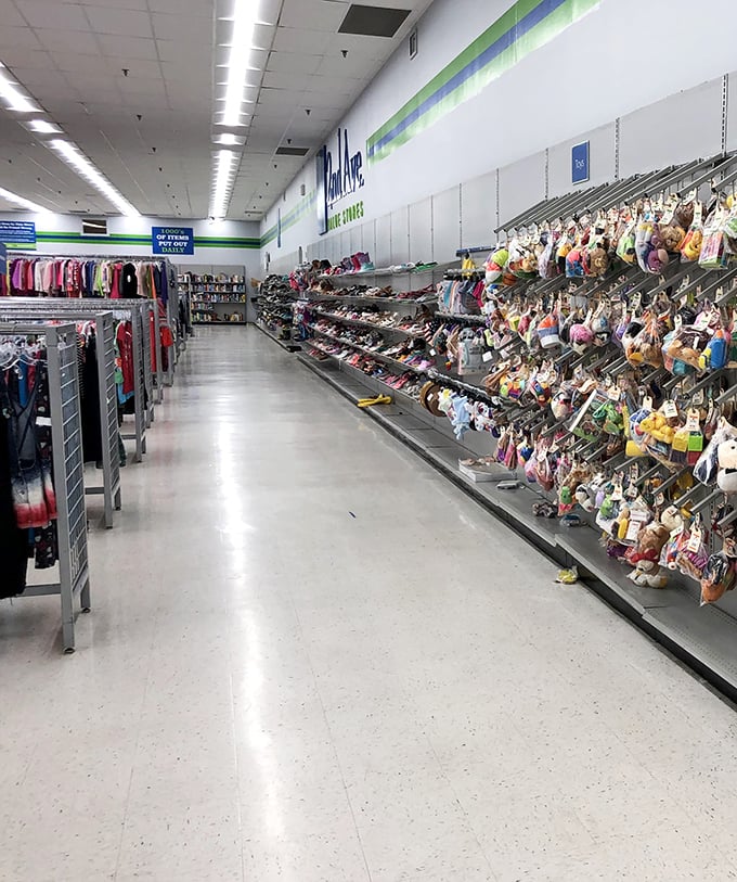 The thrifter's version of Narnia—step into this aisle and you might emerge hours later with armfuls of treasures and no concept of time.