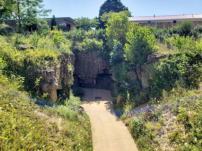 Sunlight gives way to mystery at this inviting entrance, where the ordinary world above transitions to extraordinary wonders below.