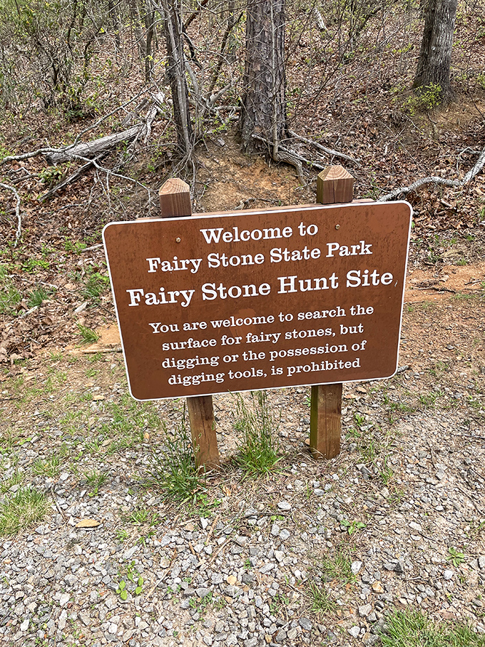 The official fairy stone hunting grounds: where adults can finally admit they're looking for magic without raising eyebrows.