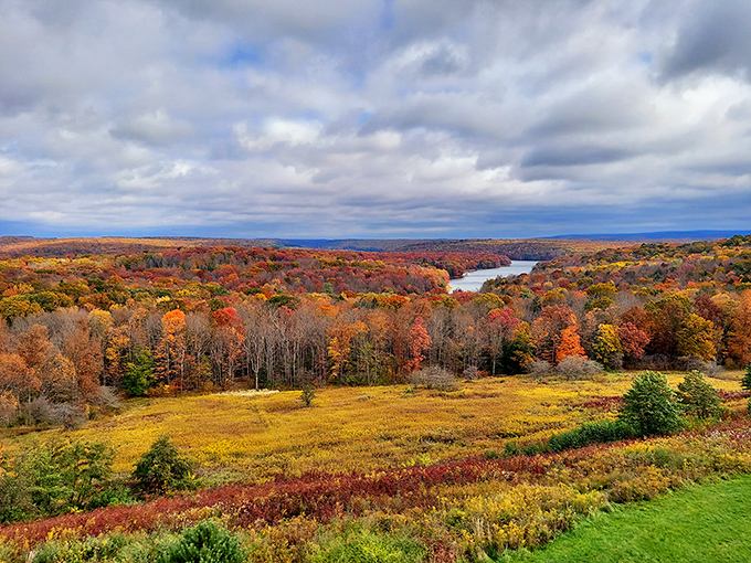 Fall transforms Prince Gallitzin into nature's art gallery, painting the landscape with fiery reds and golds that would make Monet jealous.